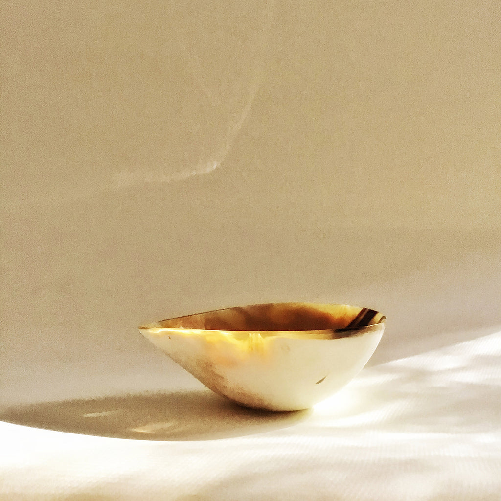 Carved and Polished Horn Pod Bowls - small