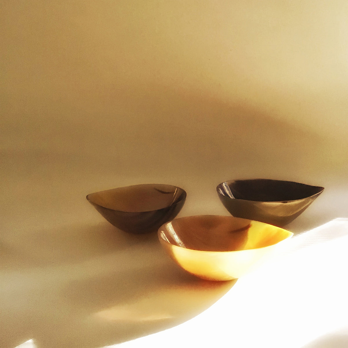 Carved and Polished Horn Pod Bowls - small