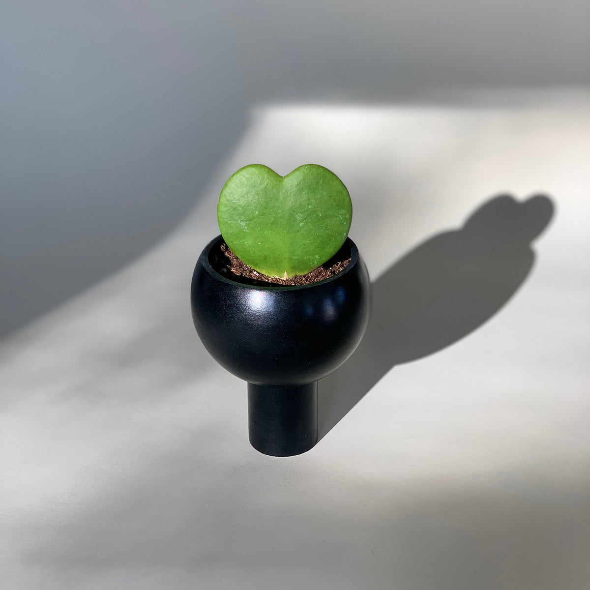 Orb Planter Small - Soapstone